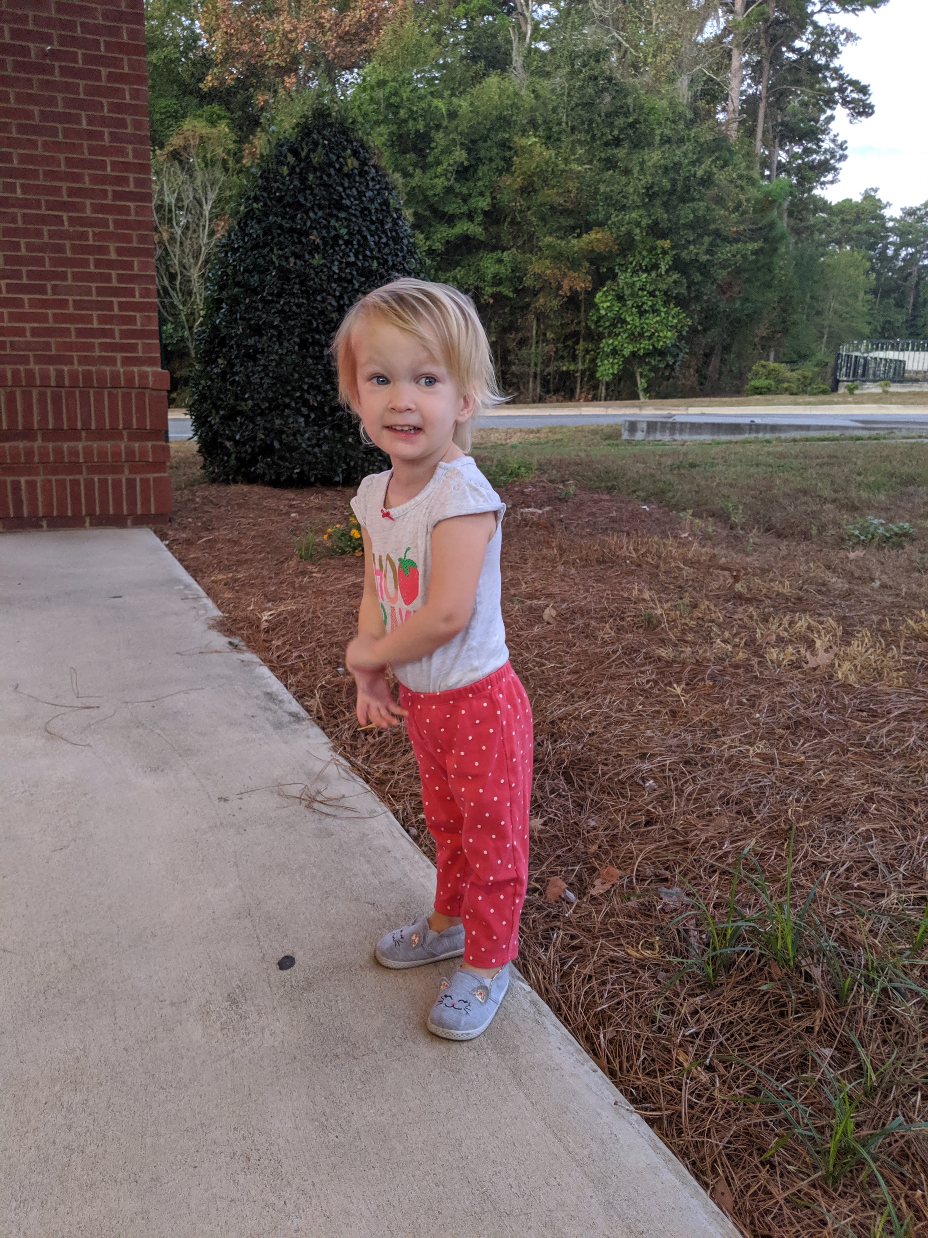 The Case of the Weird, Stinky Meat - Pullen's Cozy Corner