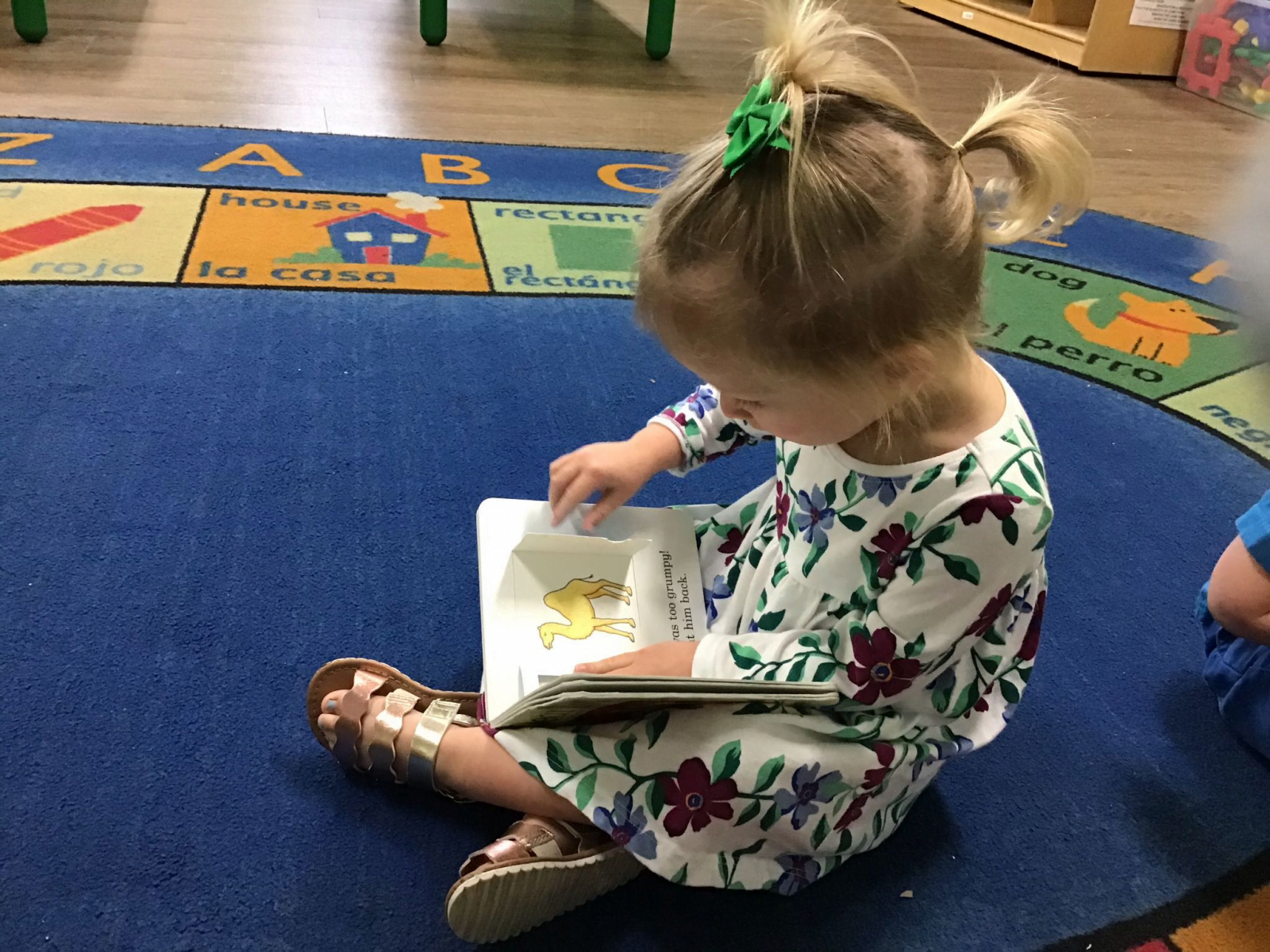 Citrus Pantry Pound Cake – Pullen's Cozy Corner