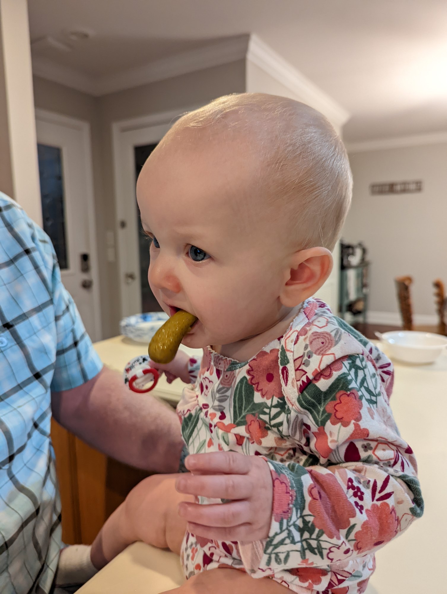 The Pickle Sisters - Pullen's Cozy Corner