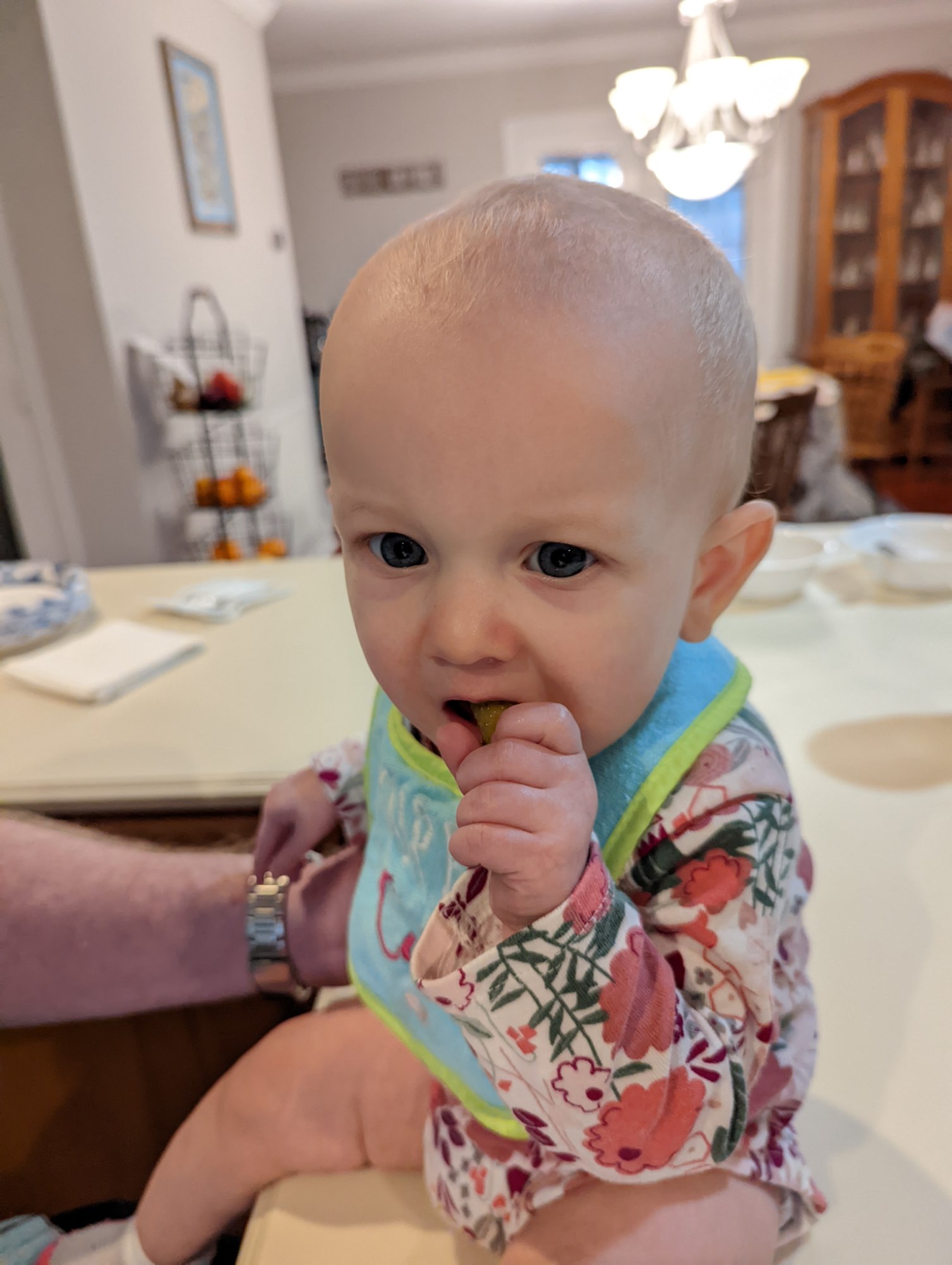 The Pickle Sisters - Pullen's Cozy Corner