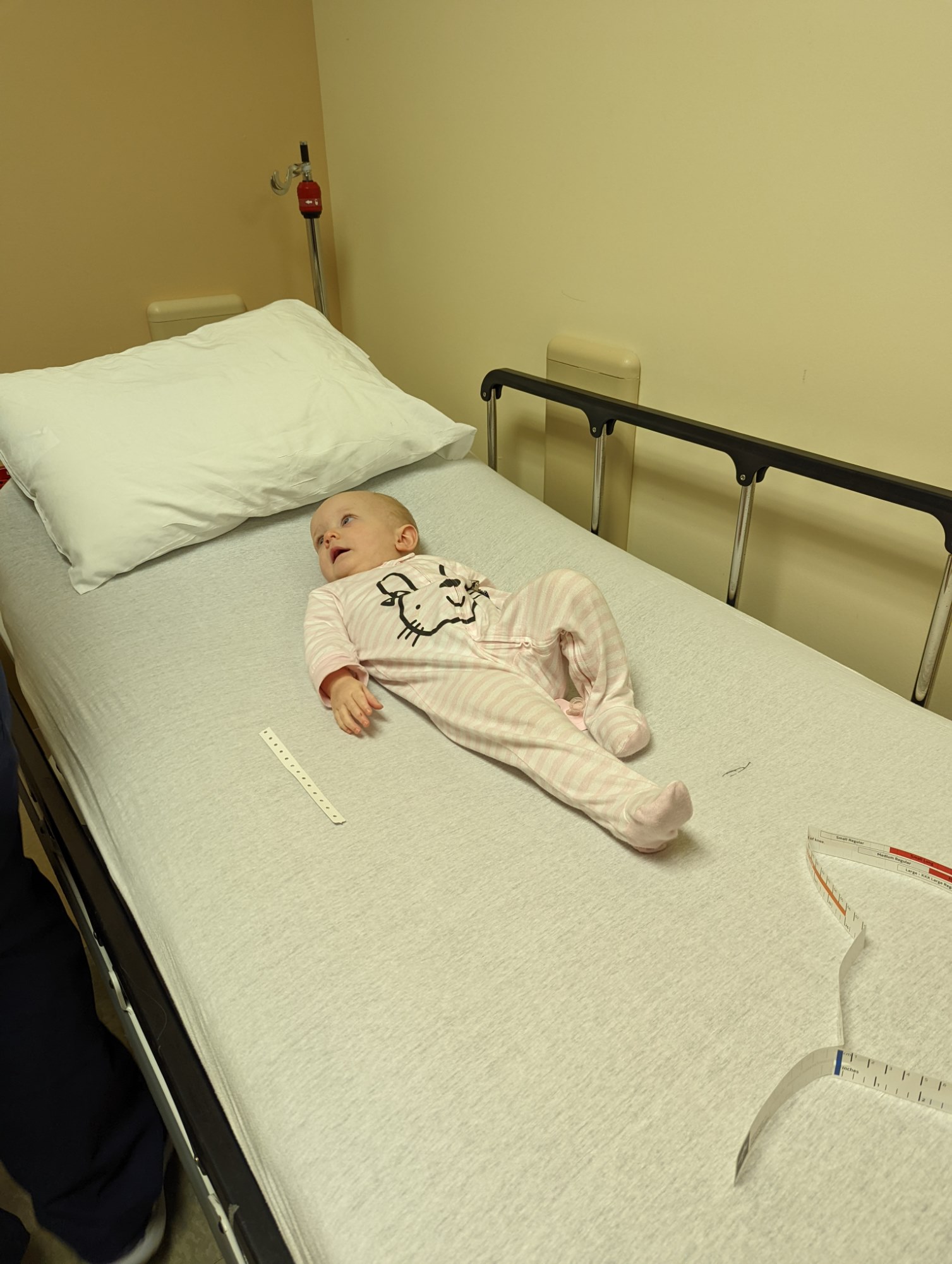 Addison’s First Surgical Procedure – Pullen's Cozy Corner