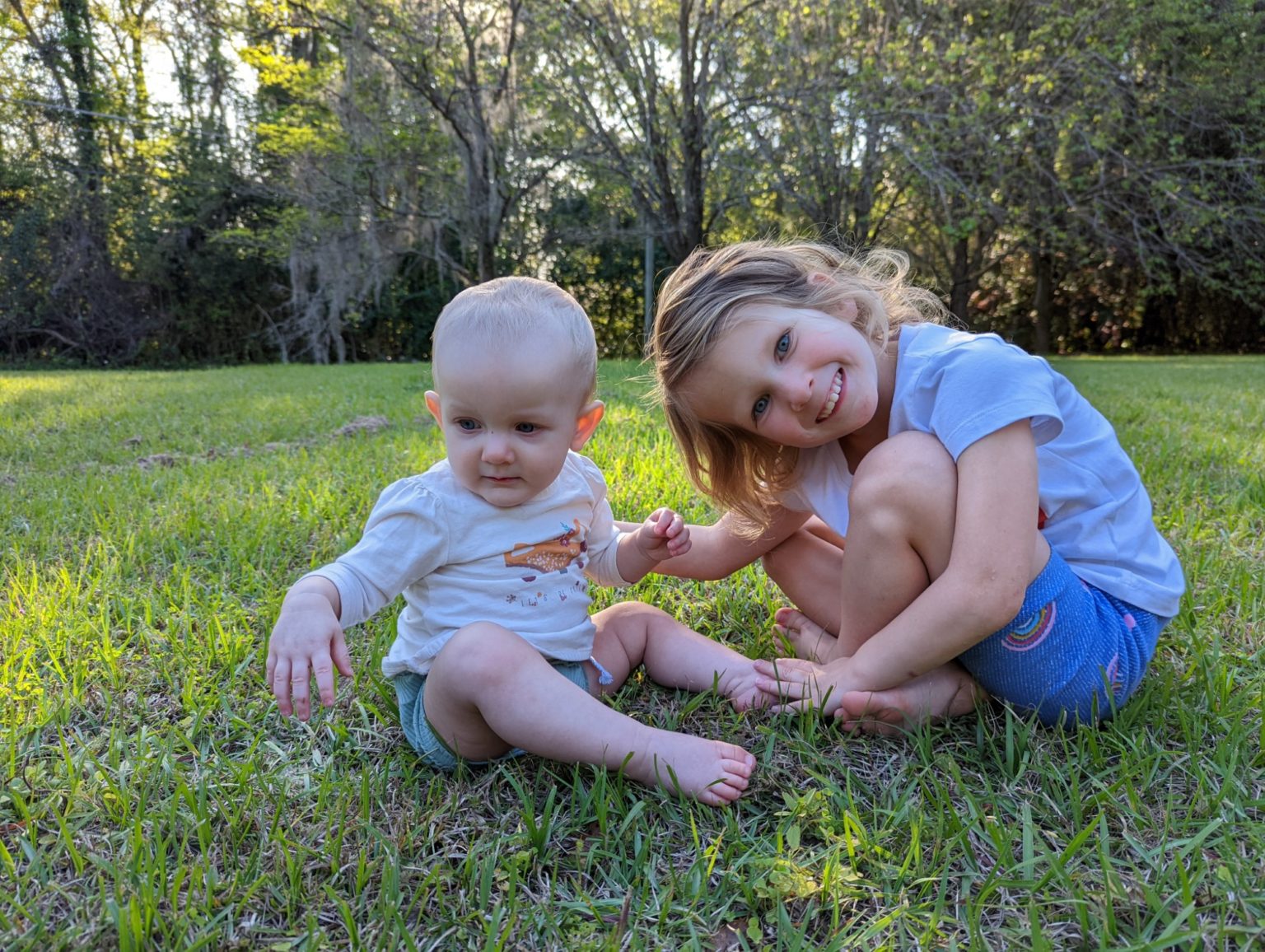 Addison’s First Surgical Procedure | Pullen's Cozy Corner