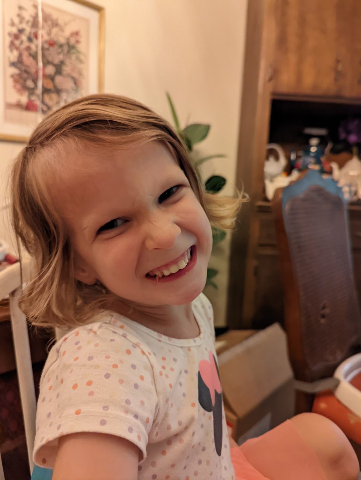 Air-Fryer Chicken Burgers – Pullen's Cozy Corner