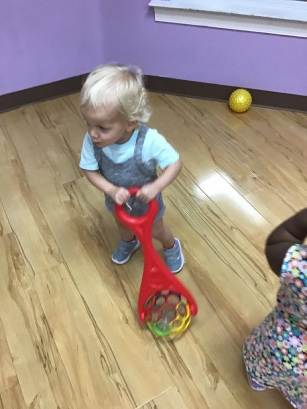 Frozen Bare Tree – Pullen's Cozy Corner