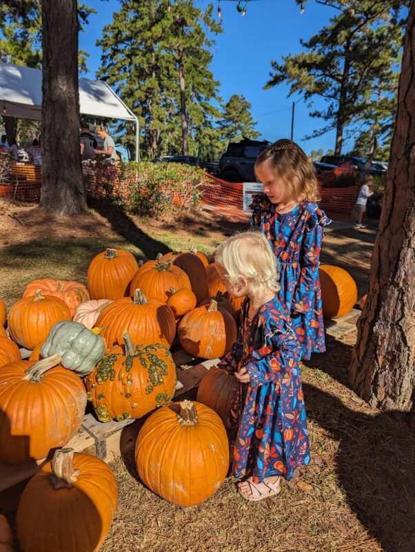 Pumpkin Patch – Pullen's Cozy Corner
