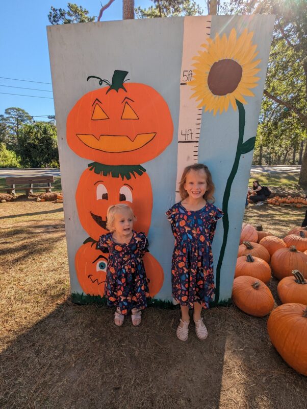Pumpkin Patch – Pullen's Cozy Corner