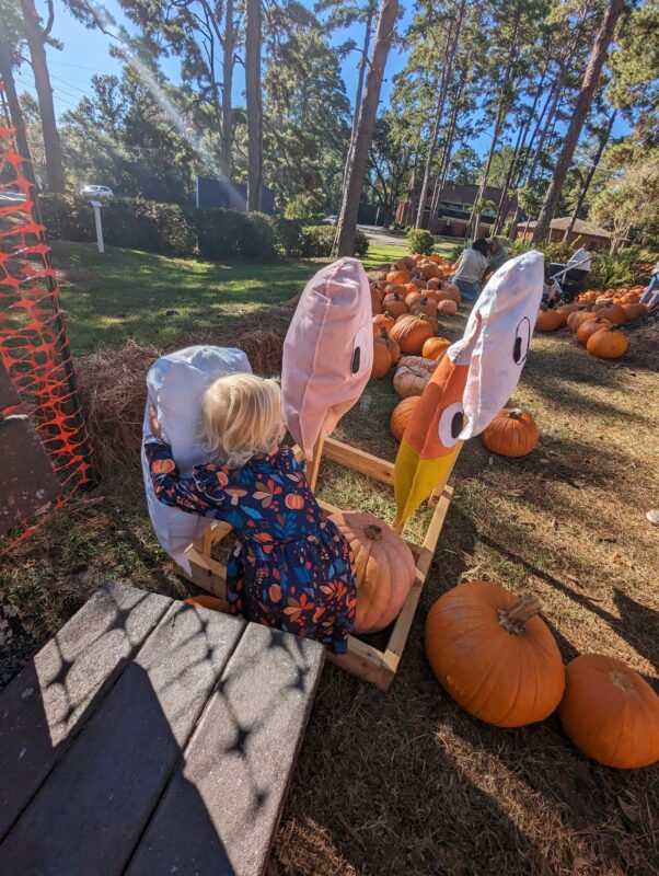 Pumpkin Patch – Pullen's Cozy Corner
