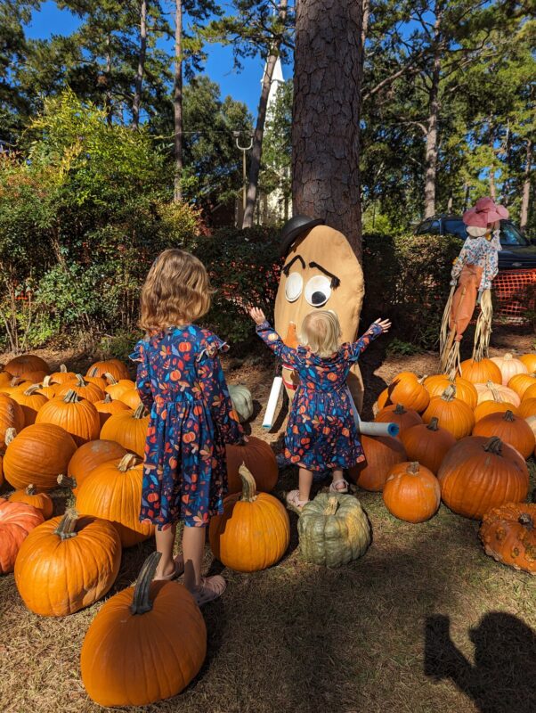 Pumpkin Patch – Pullen's Cozy Corner