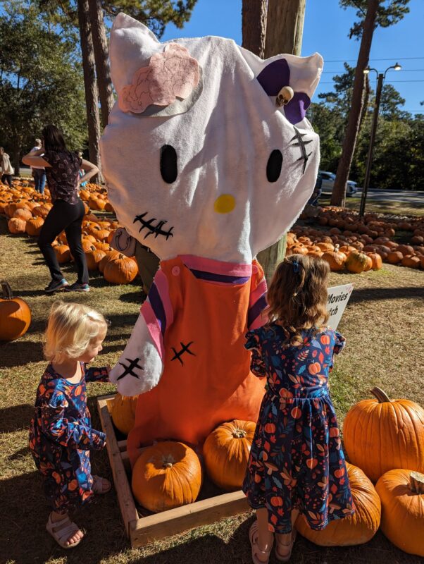 Pumpkin Patch – Pullen's Cozy Corner