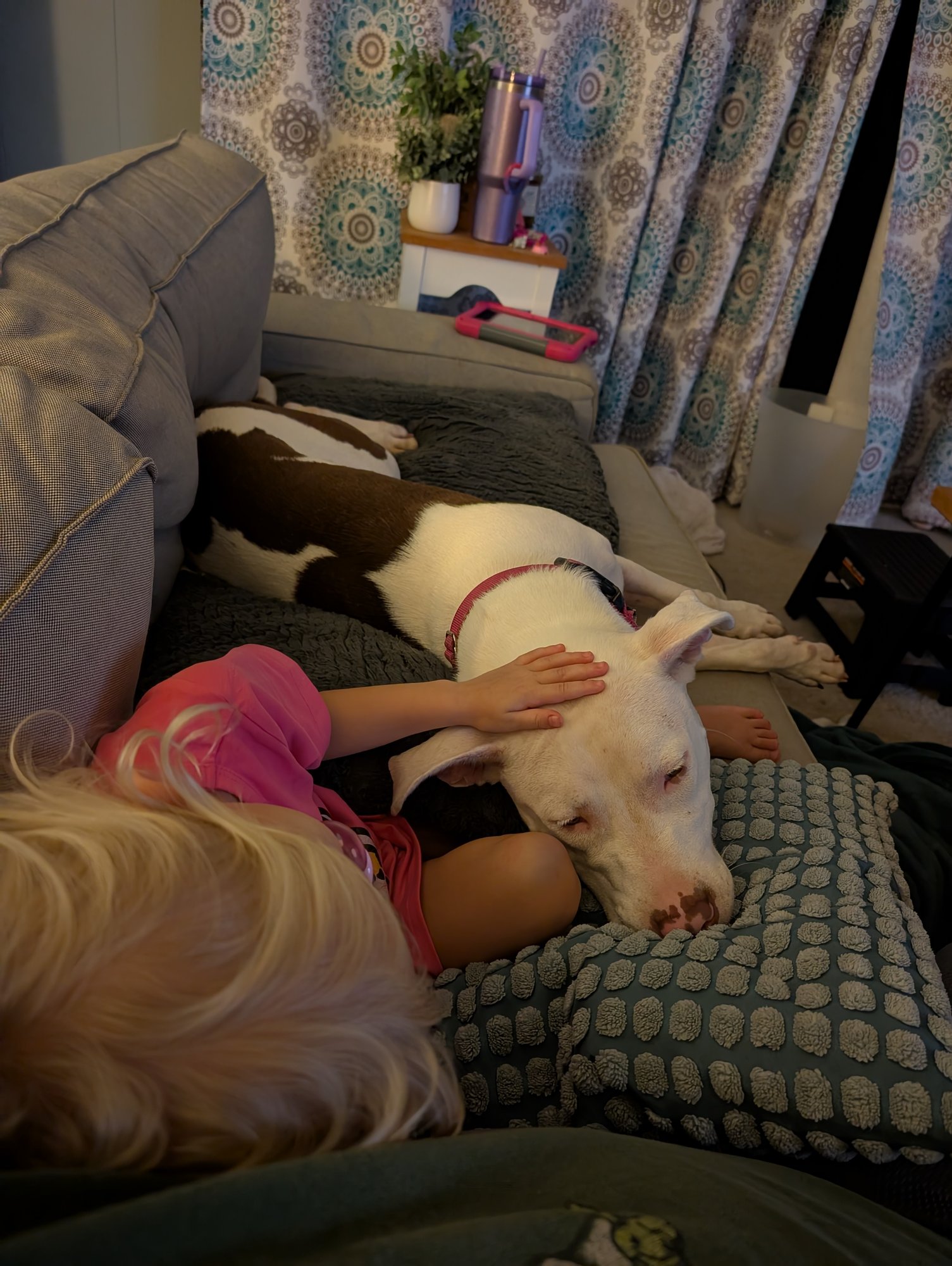 Breakfast Treat – Pullen's Cozy Corner